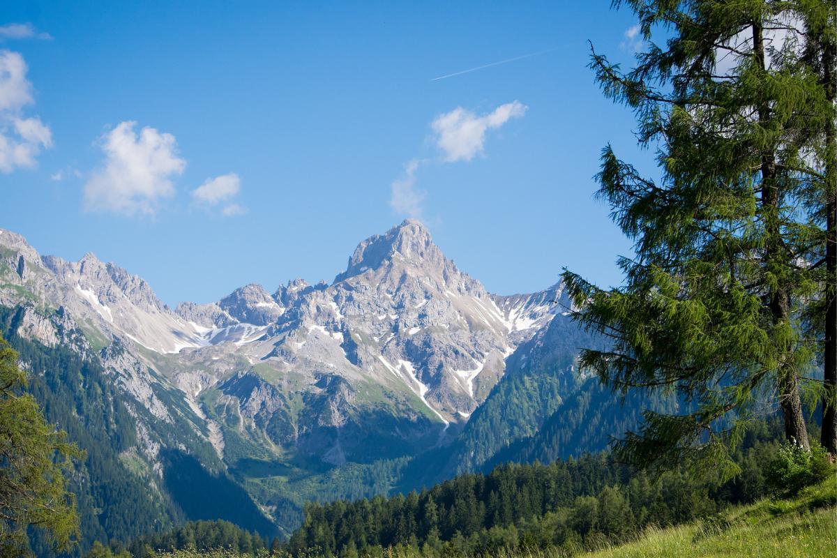 Climat montagnard : définition, caractéristiques, types, flore et faune