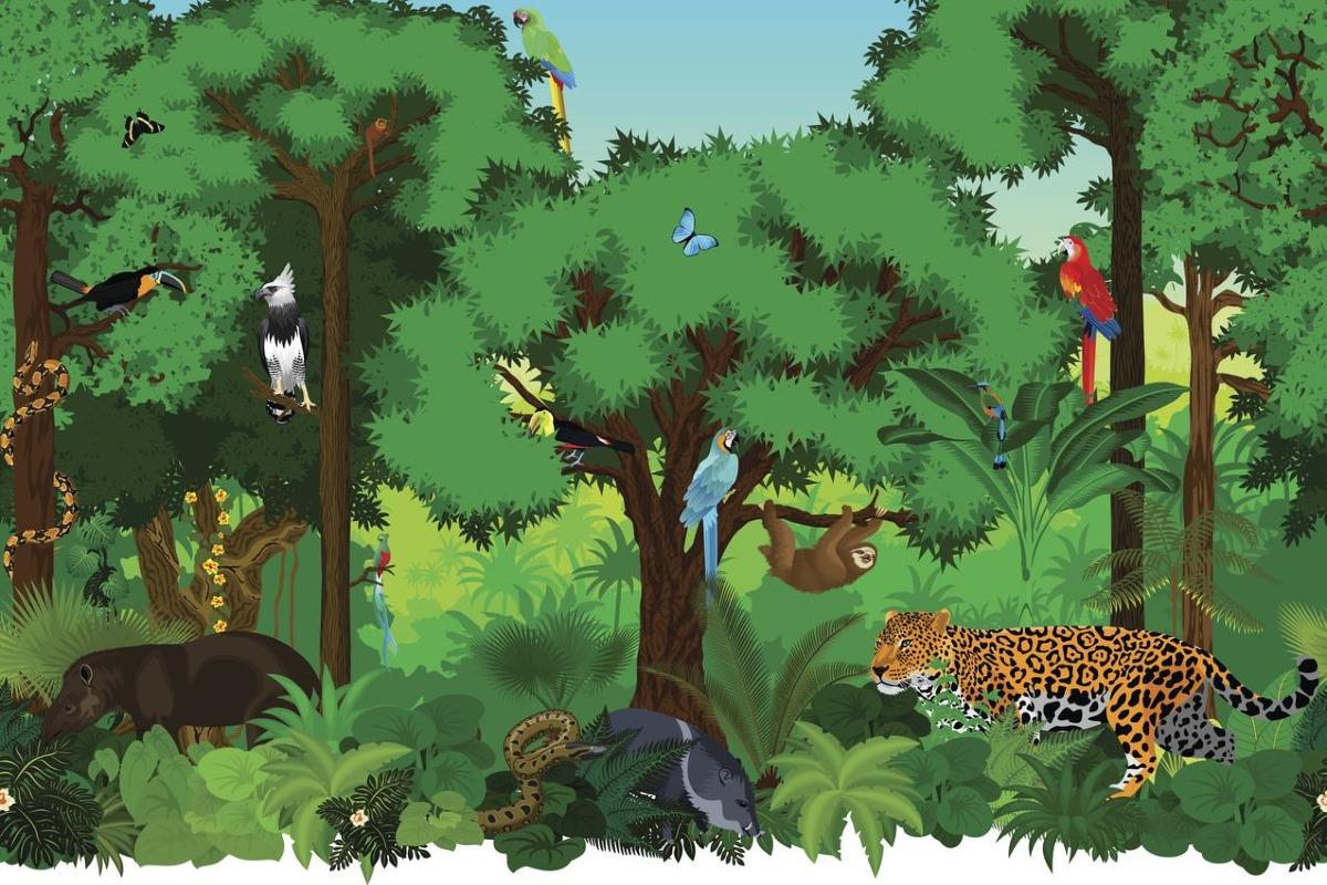 Fonctionnement d'un écosystème - Schémas, définitions et exemples