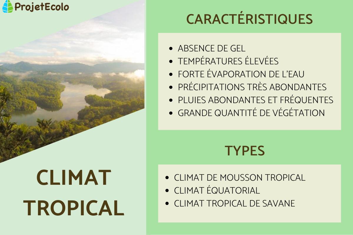 CLIMAT TROPICAL : CARACTÉRISTIQUES et TYPES