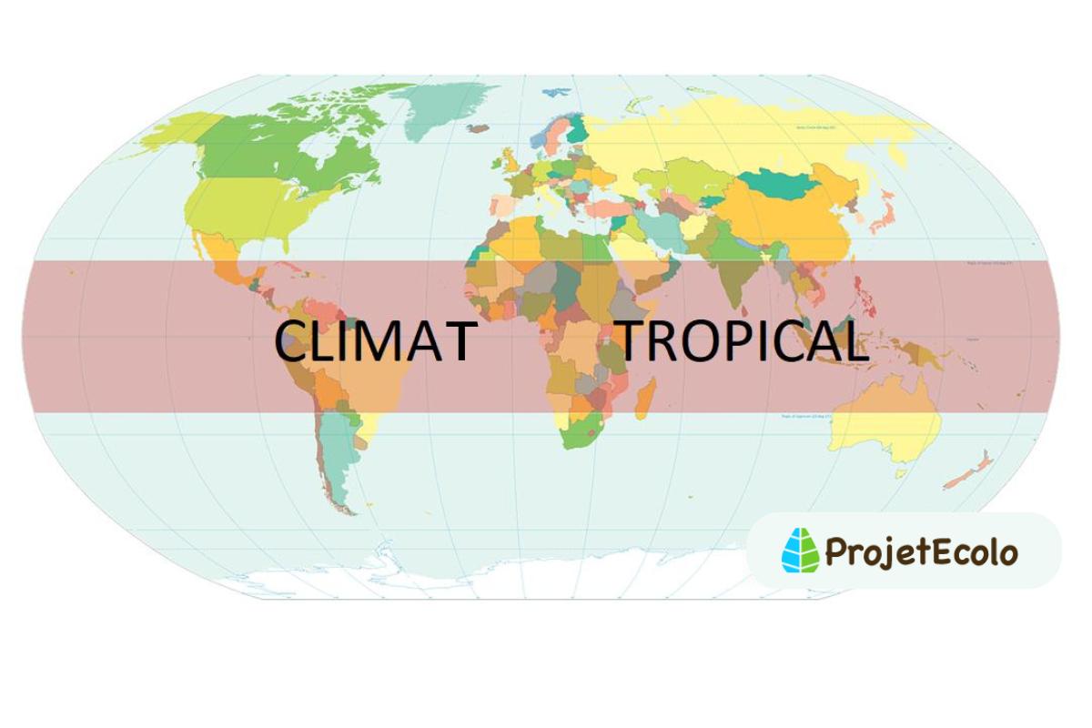 CLIMAT TROPICAL : CARACTÉRISTIQUES et TYPES