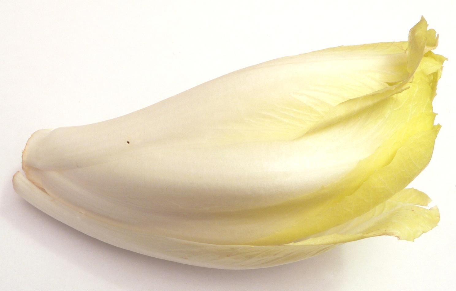 14 Types de laitue - Noms et PHOTOS