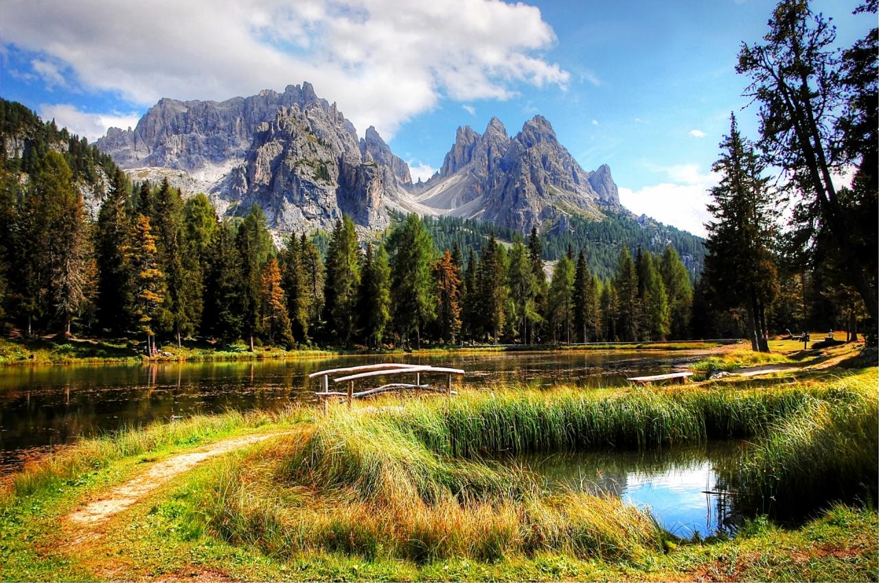 14 TYPES de FORÊTS - Caractéristiques et photos