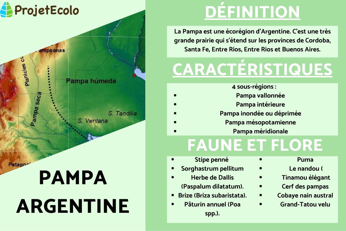 Pampa d'Argentine - Caractéristiques, flore et faune