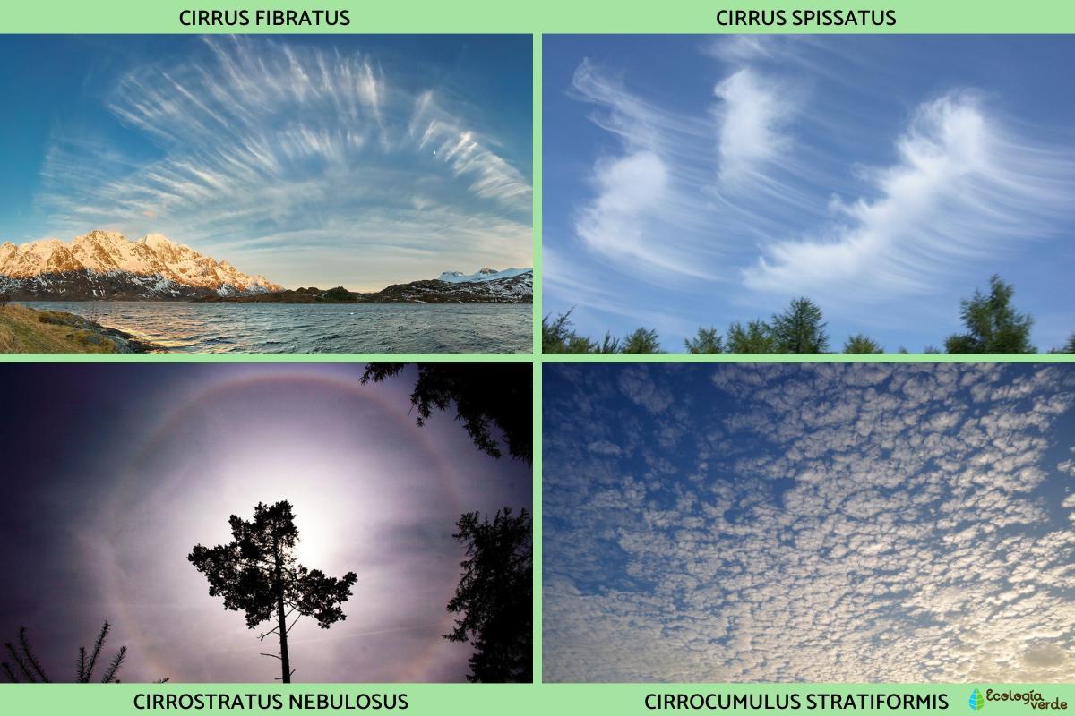 Cirrus : définition, formation, classification et importance