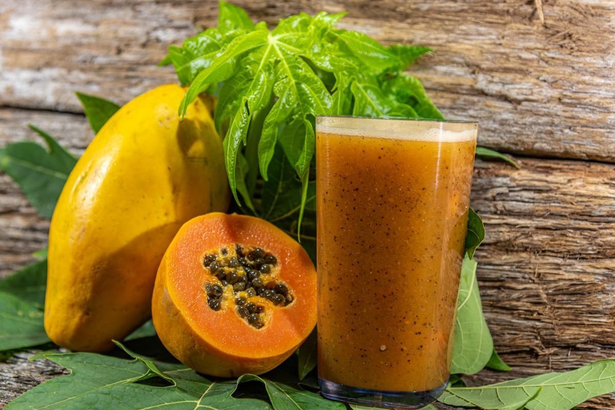 PAPAYER : PROPRIÉTÉS, BIENFAITS et CONTRE-INDICATIONS