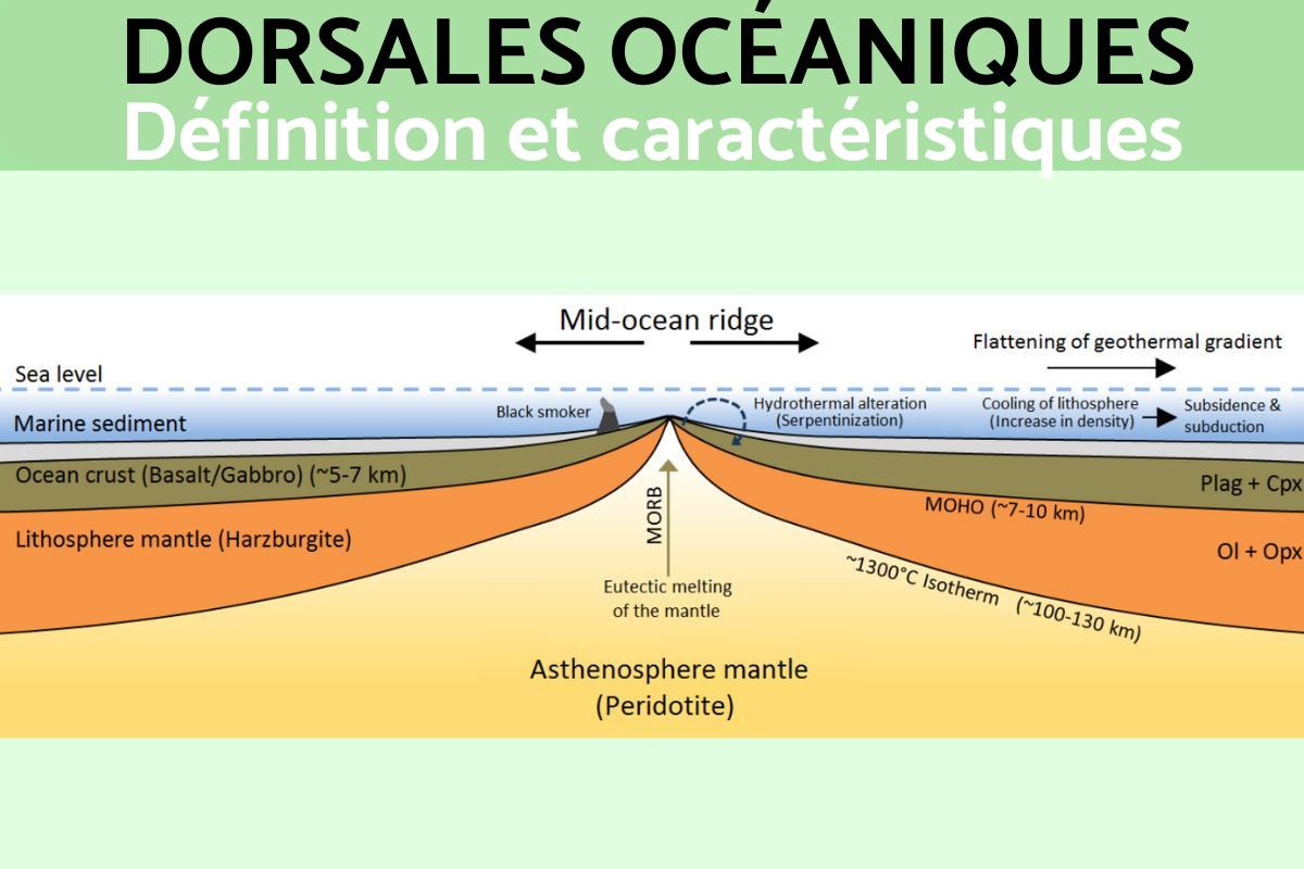 Dorsales océaniques - Définition et caractéristiques