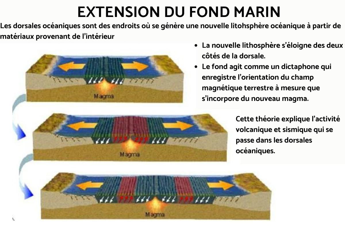 Dorsales océaniques - Définition et caractéristiques