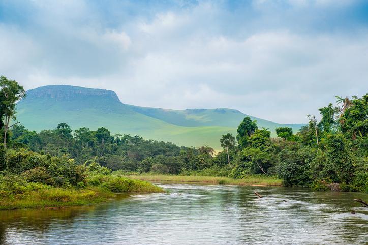Forêt du Congo : Caractéristiques, flore et faune