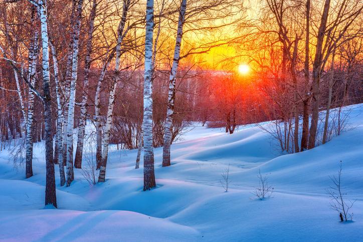 Le solstice d'hiver 2022 : hémisphère nord et sud - Jour et heure Le solstice d'hiver 2022 : hémisphère nord et sud - Jour et heure