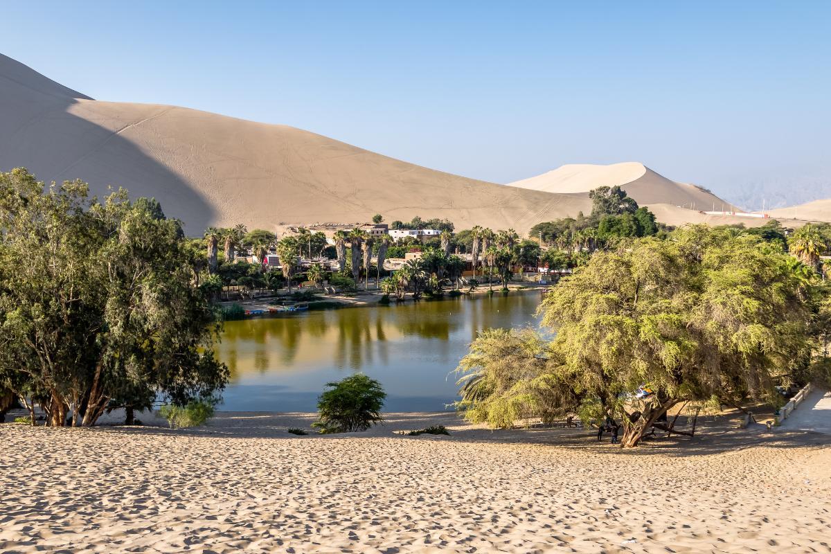 Oasis : Définition, formation et types de déserts