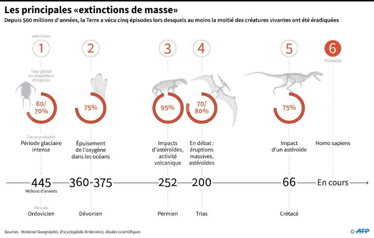 Extinctions massives ou crises biologiques : Définition, causes et liste
