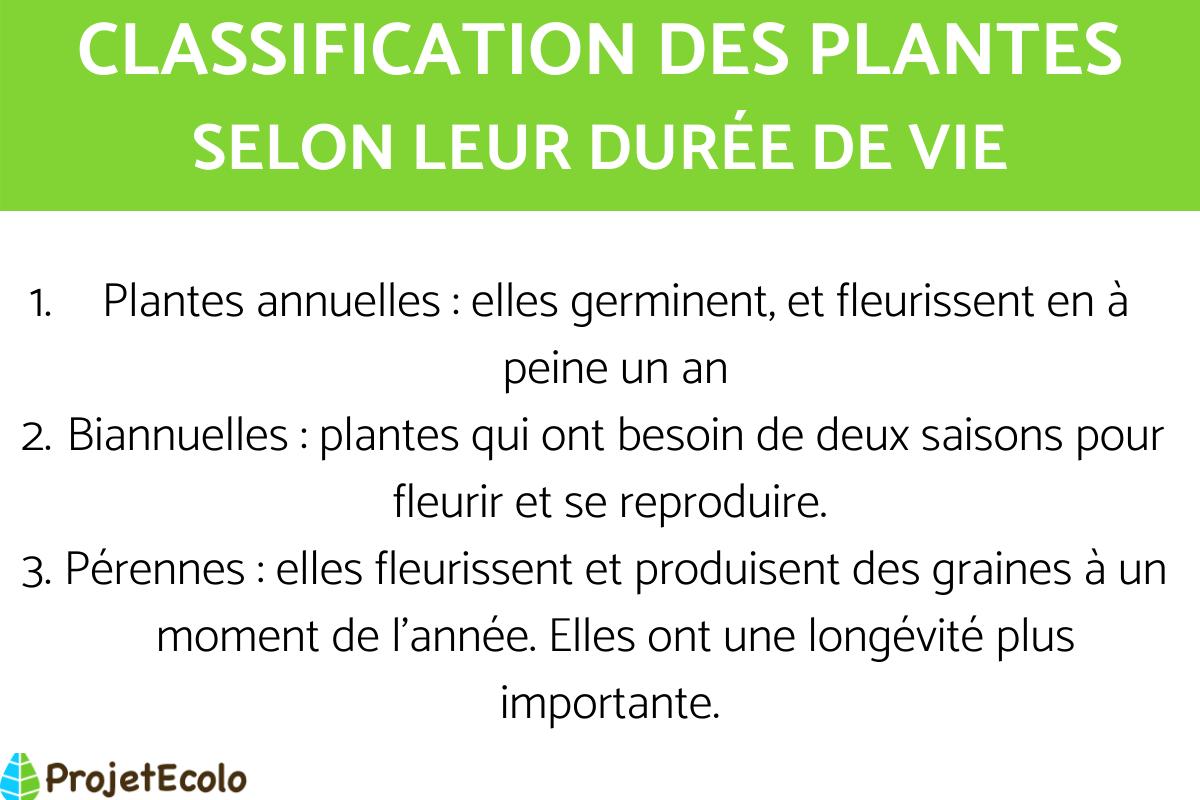 Types de plantes - Classification par Taille, Reproduction et Durée de vie