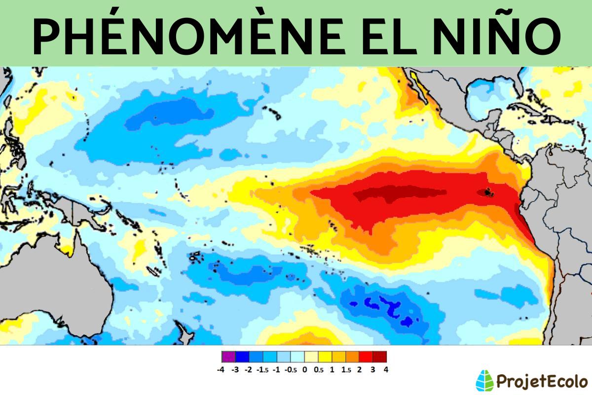 Phénomène El Niño : c'est quoi, causes et conséquences