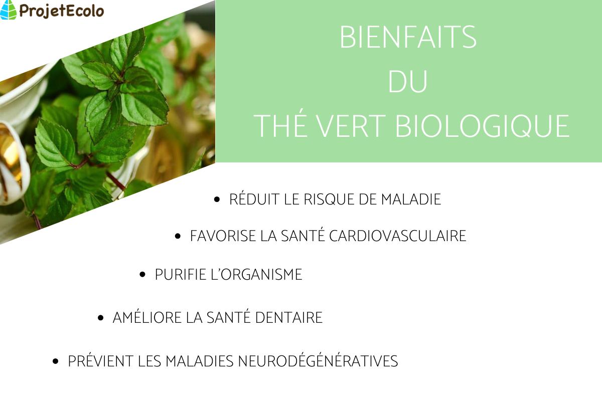 THÉ VERT BIOLOGIQUE : PROPRIÉTÉS et BIENFAITS