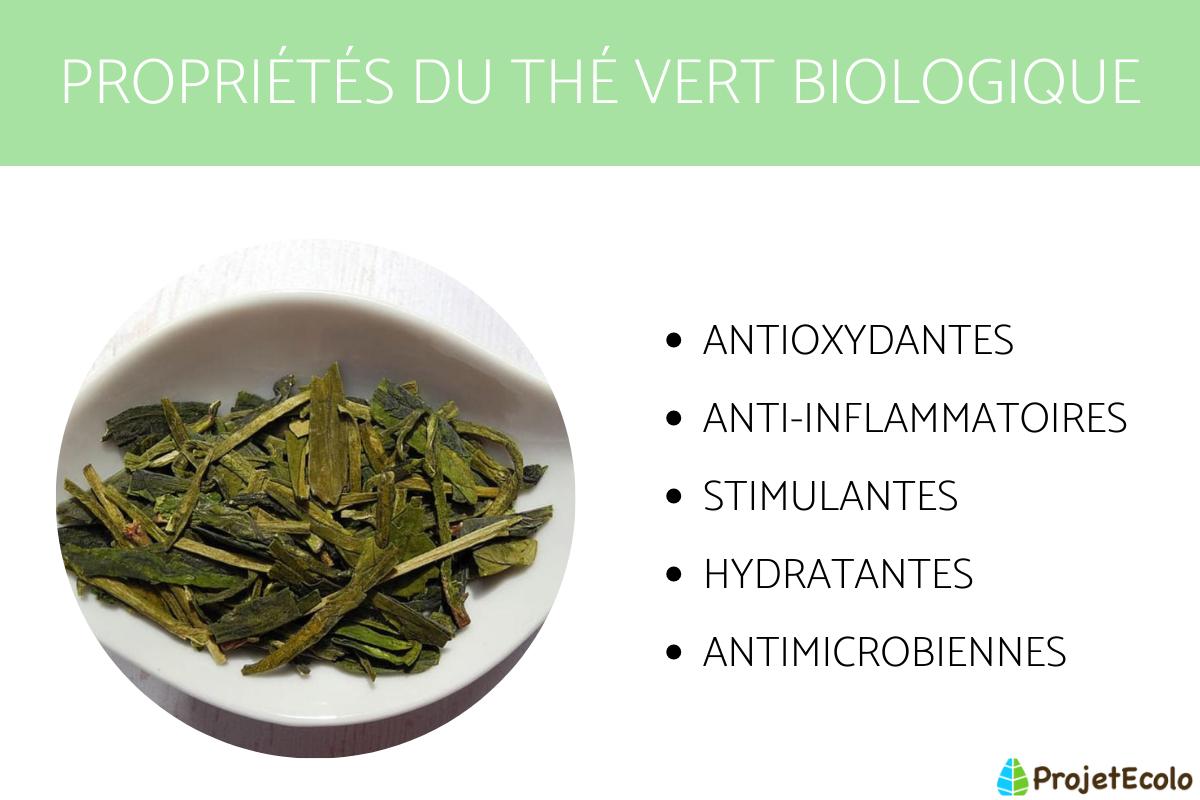 THÉ VERT BIOLOGIQUE : PROPRIÉTÉS et BIENFAITS