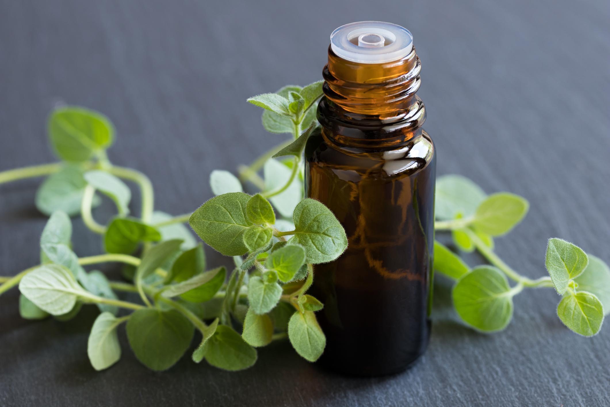 ORIGAN : BIENFAITS, UTILISATION et CONTRE-INDICATIONS